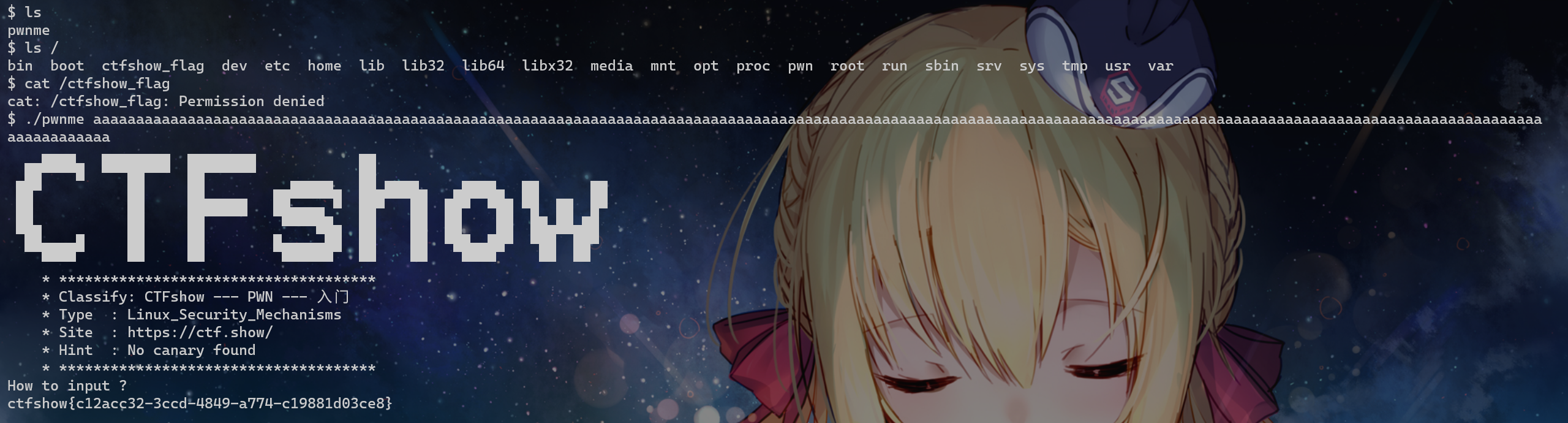 ctfshow pwn入门 | 雲流のLowest World