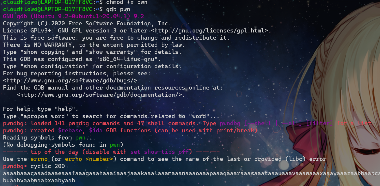 ctfshow pwn入门 | 雲流のLowest World
